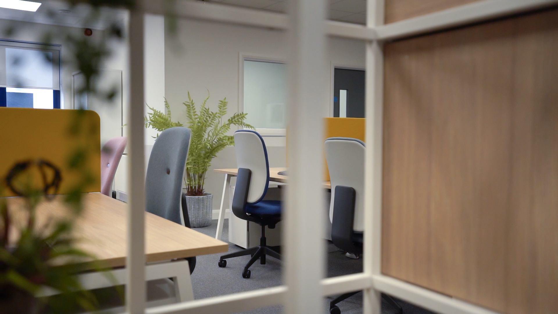 BASSETTS HEAD OFFICE TRANSFORMATION - Gem Interior Contracts Ltd.